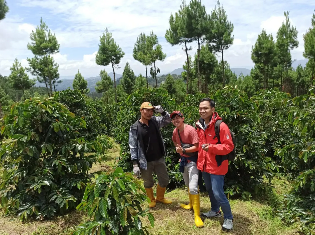 Indonesia Banjarnegara Atas - a heartwarming experience – Small Waves Coffee Roasters